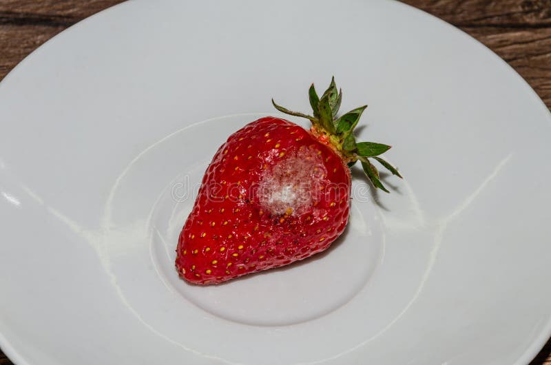 Podre Estragado Com Morangos Moldados Em Prato Foto de Stock - Imagem ...