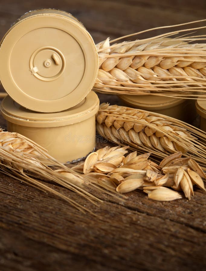 Pods of barley stock image. Image of coffee, aroma, pods - 29610295