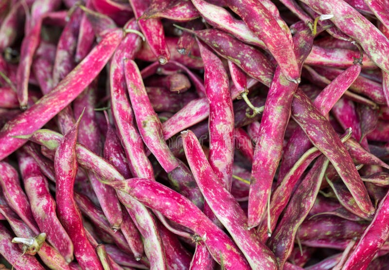 Pods of Red Beans on the Counter Farm Market Stock Image - Image of ...