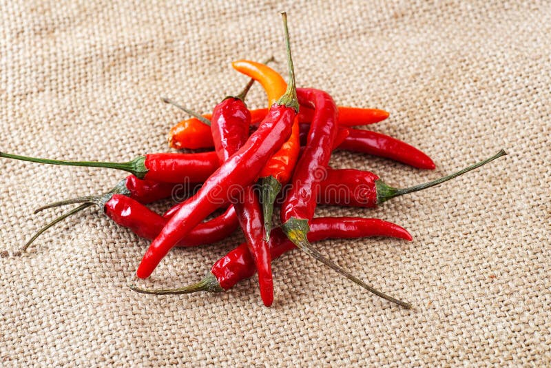 Pods of Red Hot Chili Peppers on Burlap. Space for Text Stock Photo ...