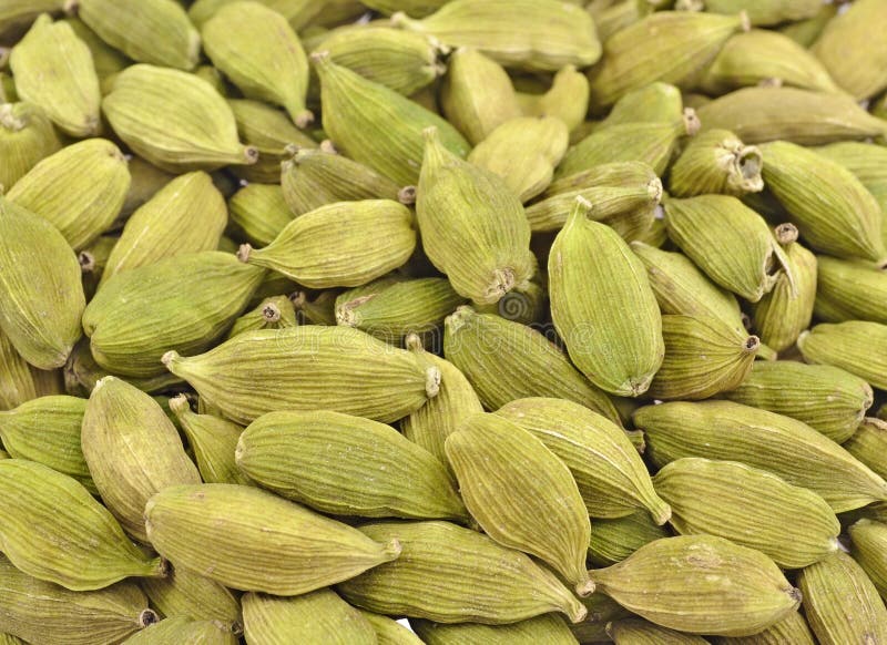 Pods of white cardamom stock image. Image of white, spice - 35622753