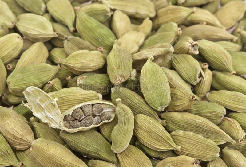 Frankincense stock image. Image of christs, tear, herbal - 33464675