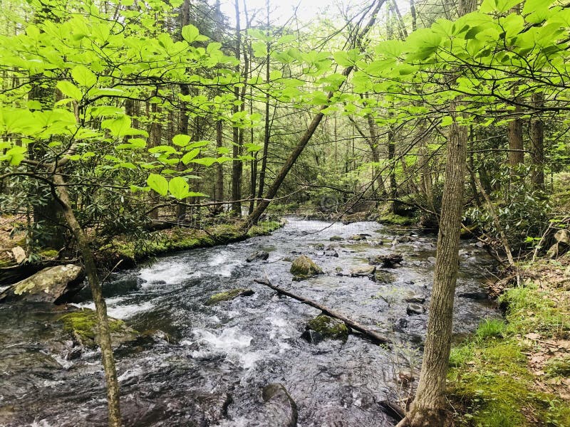 Poe Paddy State Park stock image. Image of landscape - 247422133