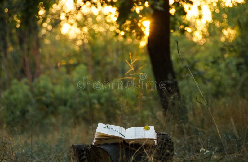 Poetry book under tree stock image. Image of poesy, summer - 78316985