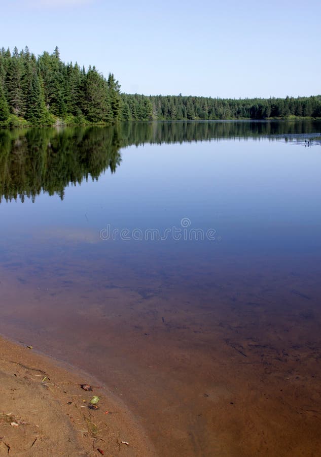 Pog Lake Shore stock image. Image of wilderness, algonquin - 11758149