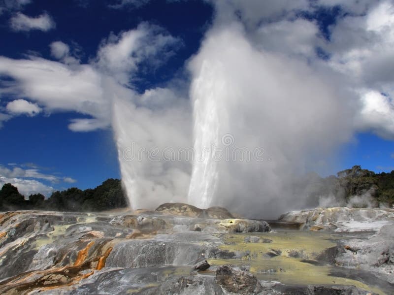 Pohutu Geyser stock image. Image of silica, park, spring - 8016459
