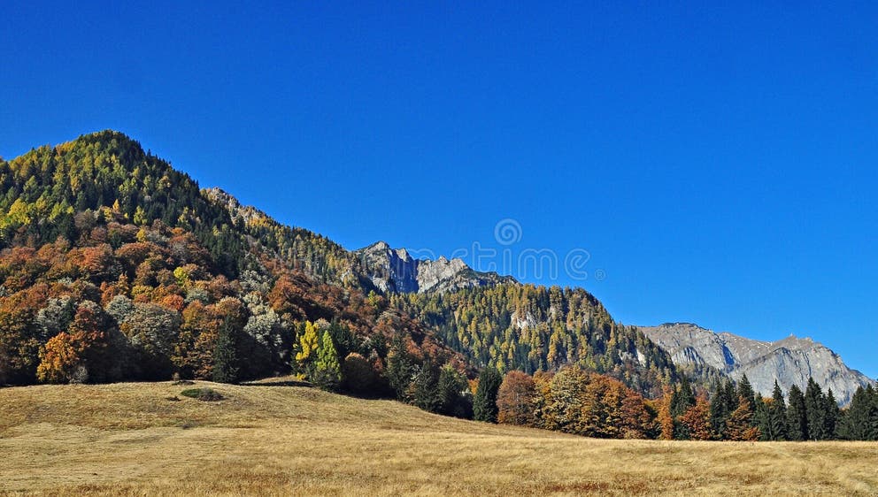 Poiana Stanii stock photo. Image of plateau, peak, trees - 21872104