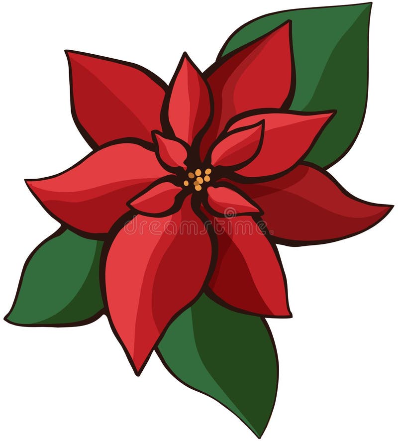 Poinsetia incompleta ilustración del vector. Ilustración de poinsettia ...