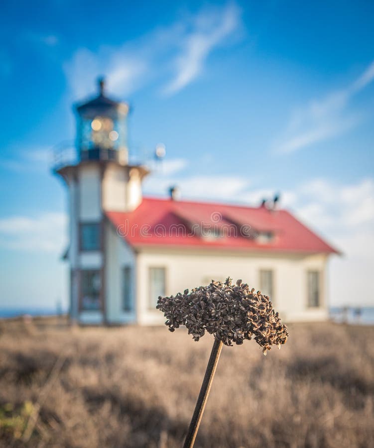 Point Cabrillo Lighthouse stock photo. Image of architect - 196911588