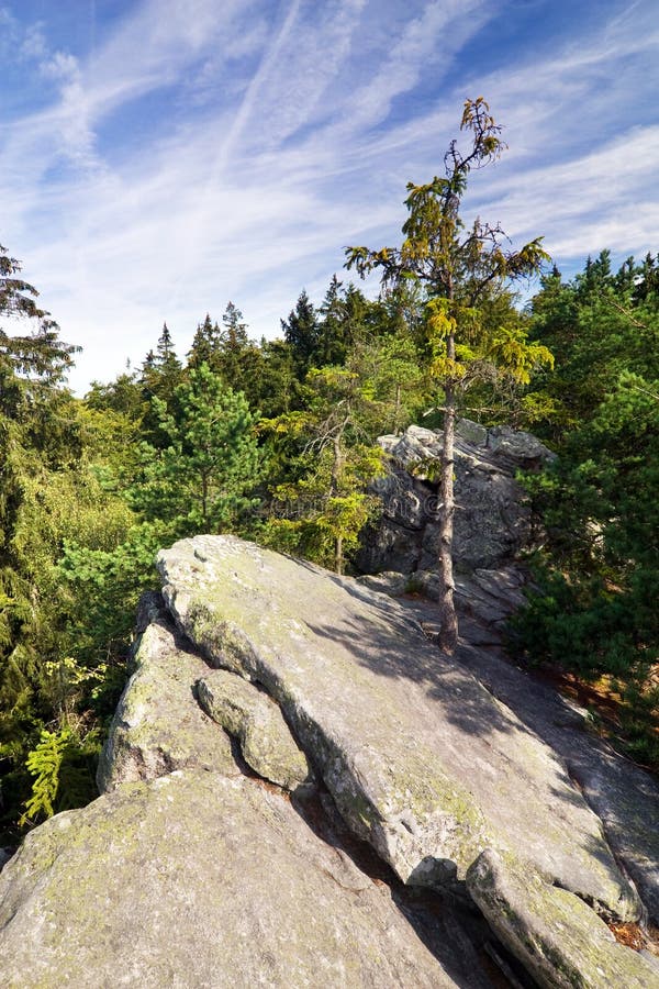 Point de vue de roche photo stock. Image du arbre, stationnement - 10521976