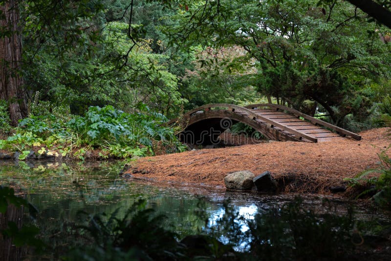 Curved Wooden Bridge Next To Pond in Botanical Garden Stock Image ...