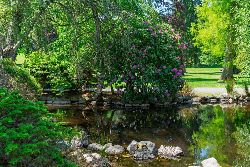 Point Defiance Pond 3 stock photo. Image of washington - 384560926