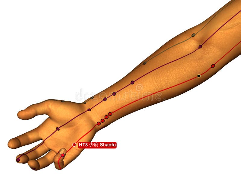 Point SI3 Houxi, D'acuponcture De Dessin Illustration 3D Illustration ...
