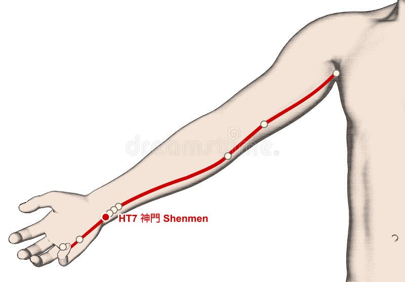 Point LU7 Lieque, D'acuponcture De Dessin Illustration 3D Illustration ...