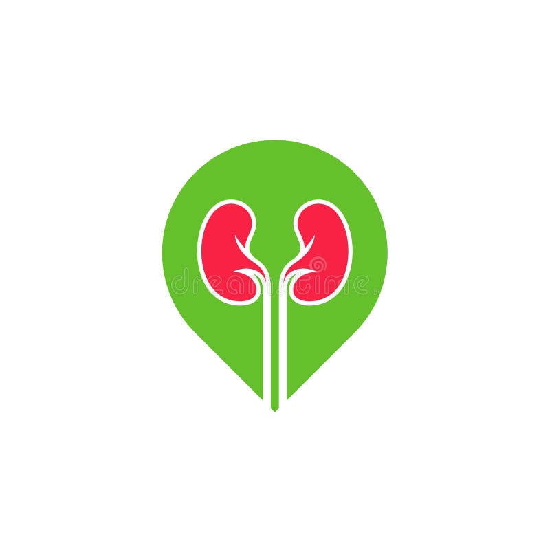 Point Kidney Logo Design Inspiration Template Vector Stock Vector ...