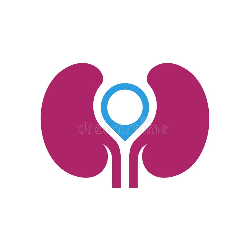 Point Kidney Logo Design Inspiration Template Vector Stock Vector ...