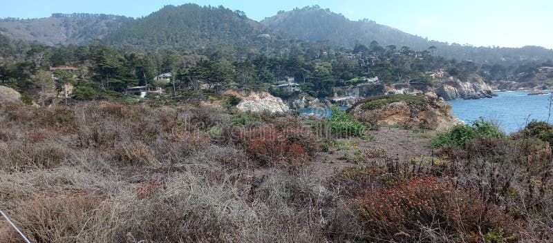 Point lobos california stock photo. Image of autumn - 230705234