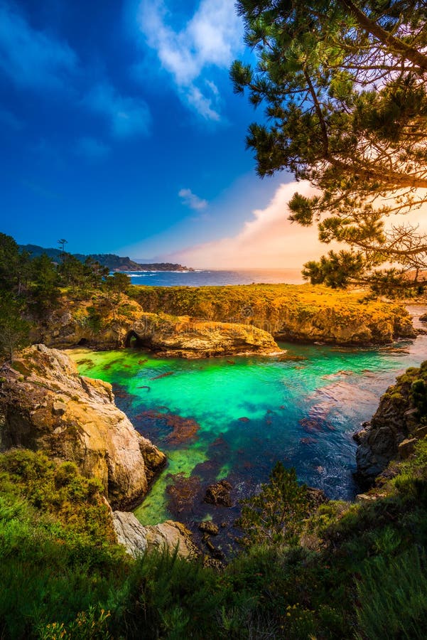Point Lobos State Park California Stock Photo - Image of outdoor ...