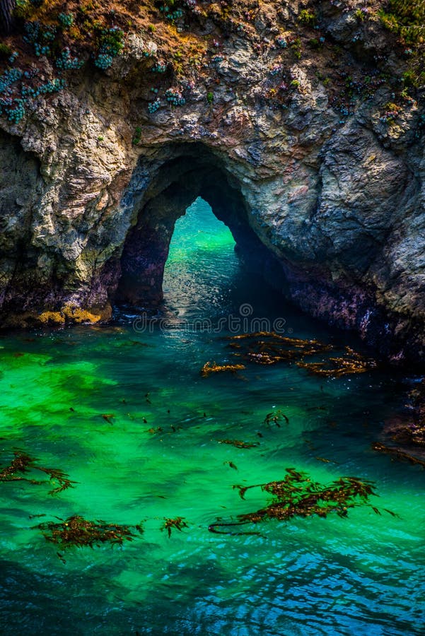 Point Lobos State Park California Stock Photo - Image of scene, coast ...