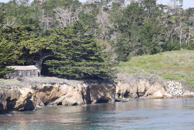 Point Lobos State Park in California Stock Photo - Image of point ...