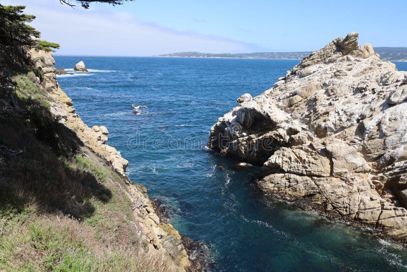 Point Lobos State Park in California Stock Image - Image of summer ...