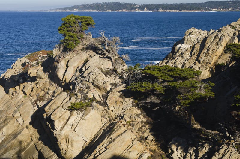 Point Lobos State Park, Monterey, California Stock Image - Image of ...