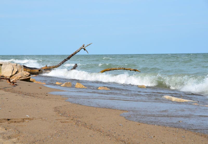 Point Pelee beach stock image. Image of nature, shoreline - 82474747