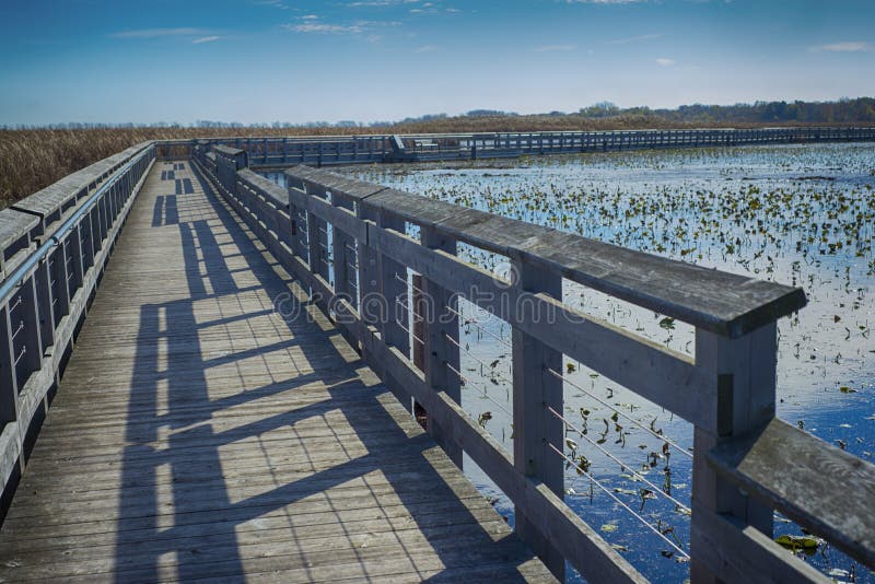 Point Pelee National Park and Boardwalk in the Fall, Ontario, Ca Stock ...