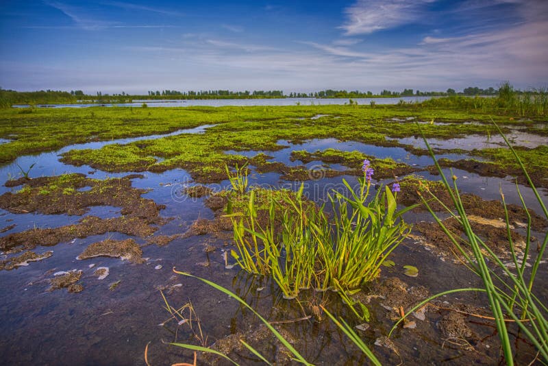 Point Pelee National Park, Ontario, Canada Stock Photo - Image of ...
