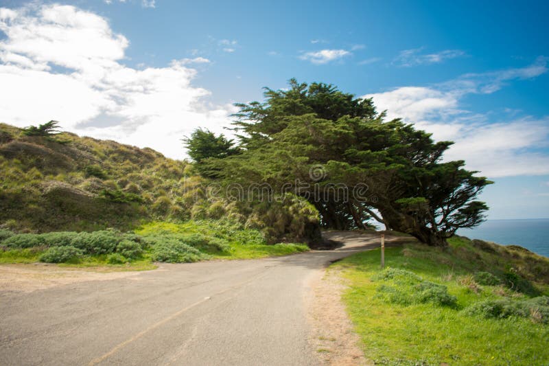 Point Reyes National Seashore in California Stock Photo - Image of ...
