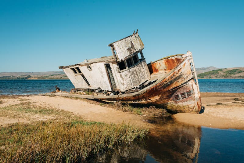 The Point Reyes Shipwreck, in Inverness, California Stock Image - Image ...