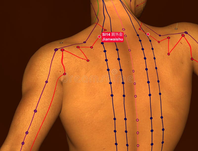 Point SI19 Tinggong, 3D Illustration, Brown Backgrou D'acuponcture ...