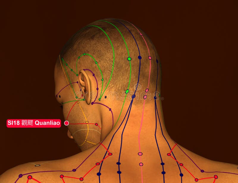 Point CV1 Huiyin, 3D Illustration, Brown D'acuponcture De Dessin ...