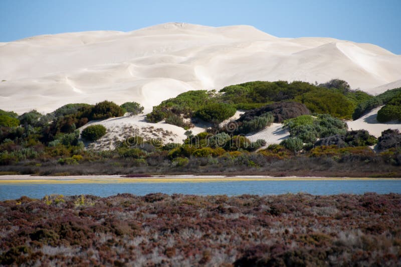 Point Sinclair Sand Dunes stock image. Image of great - 252492511