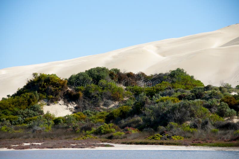 Point Sinclair Sand Dunes stock image. Image of dunes - 252492523