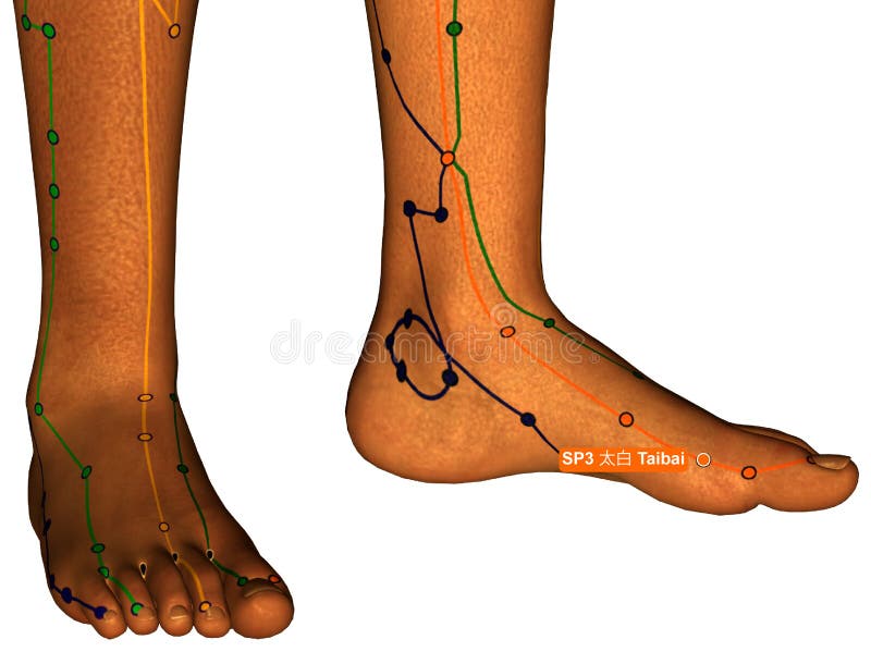 Point LR3 Taichong, D'acuponcture Illustration 3D Illustration Stock ...