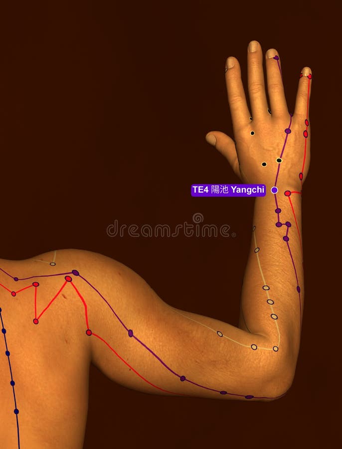 Point TE4 Yangchi, D'acuponcture De Dessin Illustration 3D Illustration ...