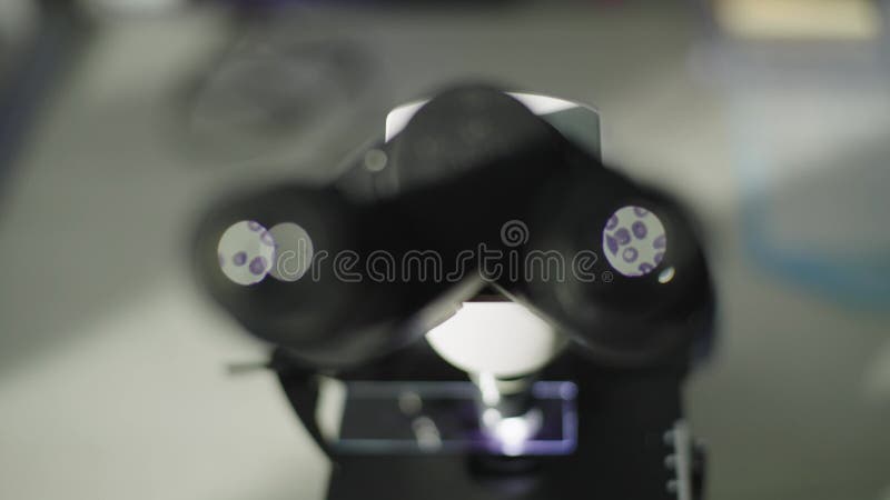 Point of View in a Microscope in Which Cells are Visible. Stock Video ...