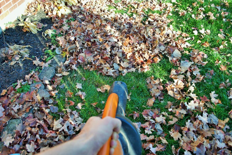Point of View of a Person Using a Leaf Blower in the Fall Stock Photo ...
