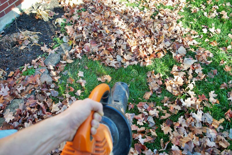 Point of View of a Person Using a Leaf Blower in the Fall Stock Image ...