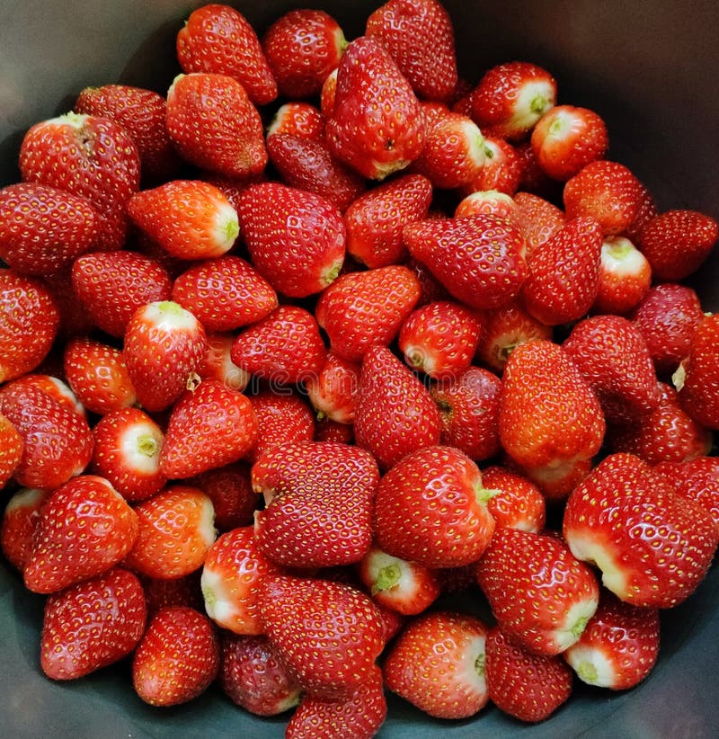 View of Strawberry Plants in Garden Wooden Pallet with Automatic ...