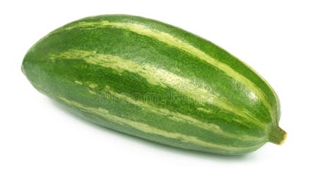 Pointed gourd stock photo. Image of crop, gourd, indian - 20766408