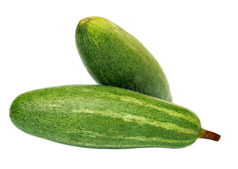 Pointed Gourd Parval White Background Stock Photos - Free & Royalty ...