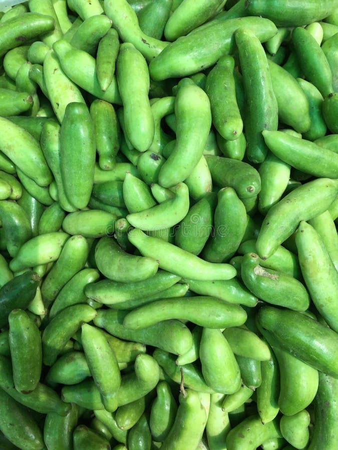 131 Indian Vegetable Pointed Gourd Parwal Stock Photos - Free & Royalty ...