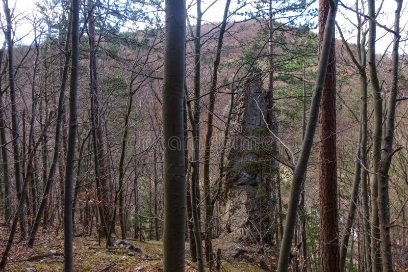 Pointed High Rock while Hiking in a Forest Stock Image - Image of ...