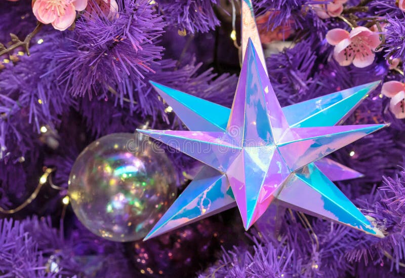 Pointed Star on a Violet Christmas Tree. Stock Image - Image of home ...