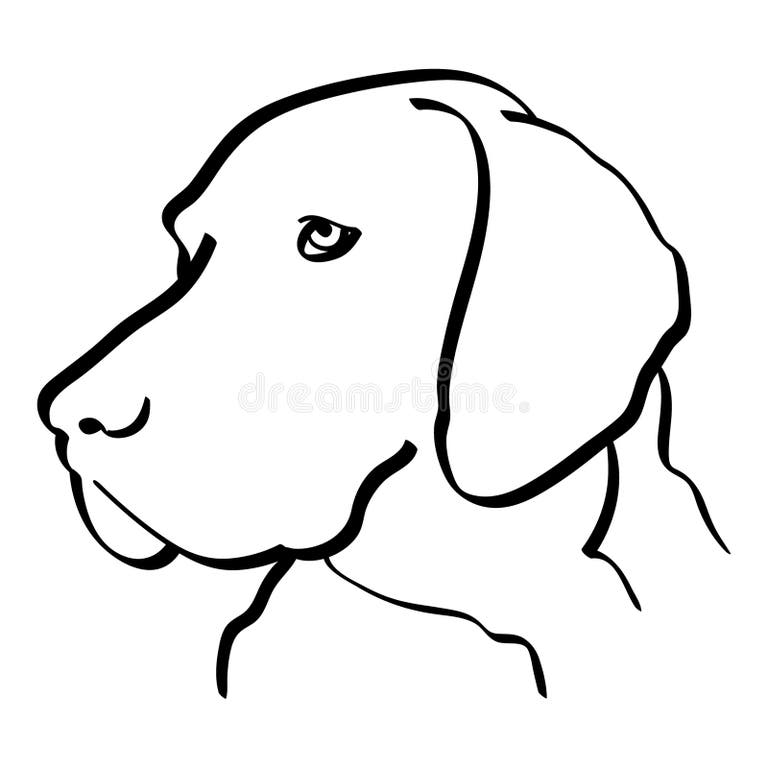 Pointer Dog Stock Illustrations – 4,332 Pointer Dog Stock Illustrations ...