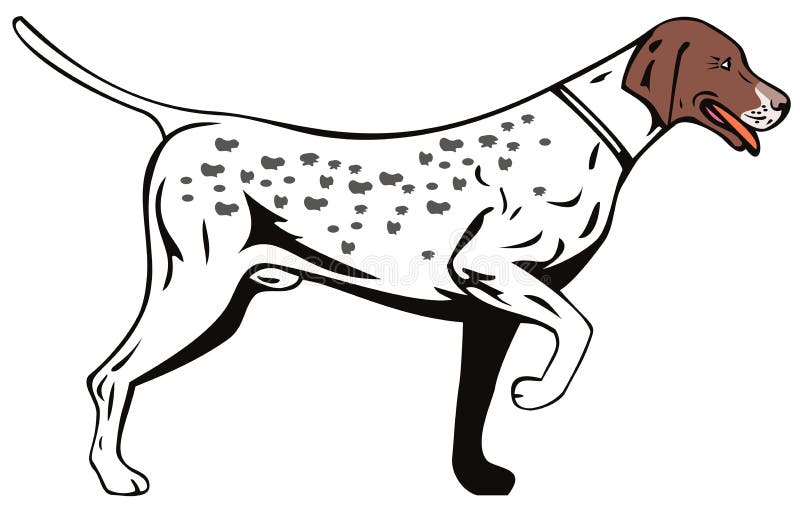 Pointer Dog Stock Illustrations – 4,609 Pointer Dog Stock Illustrations ...