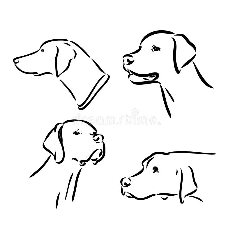 Pointer Hunting Dog Sketch, Contour Vector Illustration Stock Vector ...