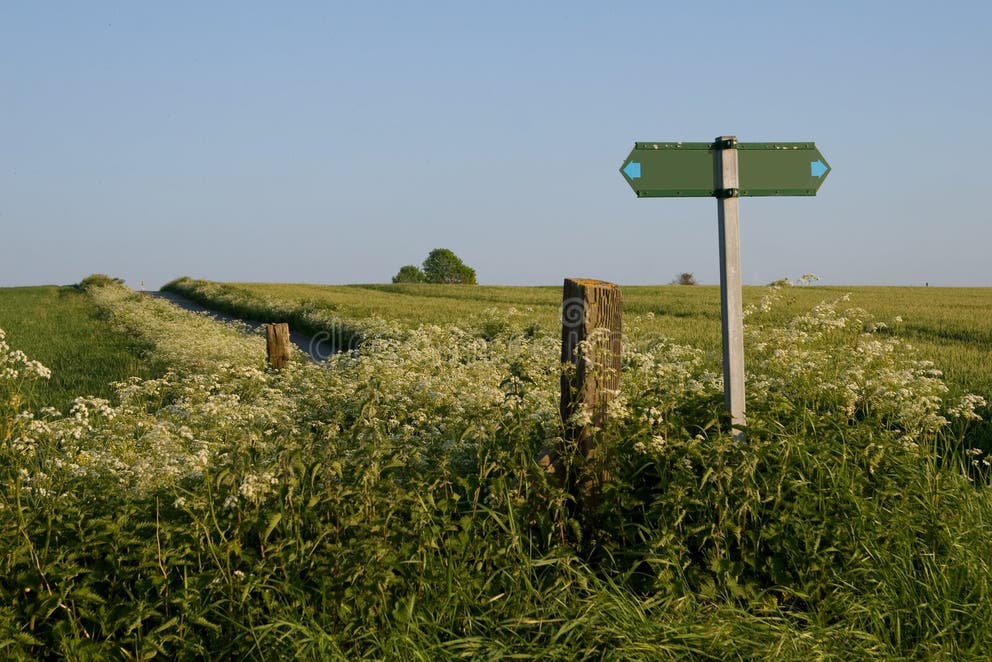 Pointer post in the field stock photo. Image of sign - 26073640